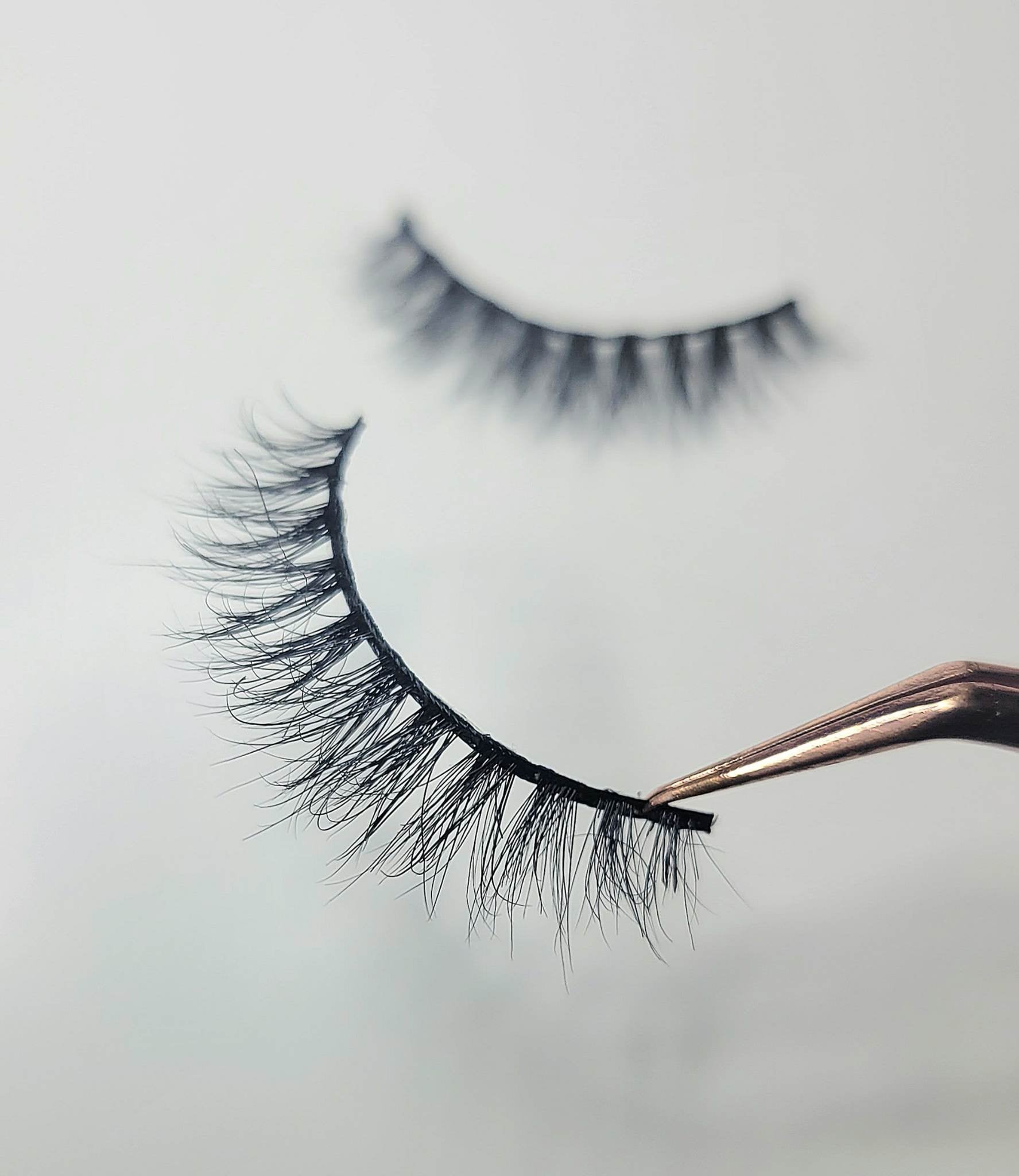 Vixen Lash – The Fourth