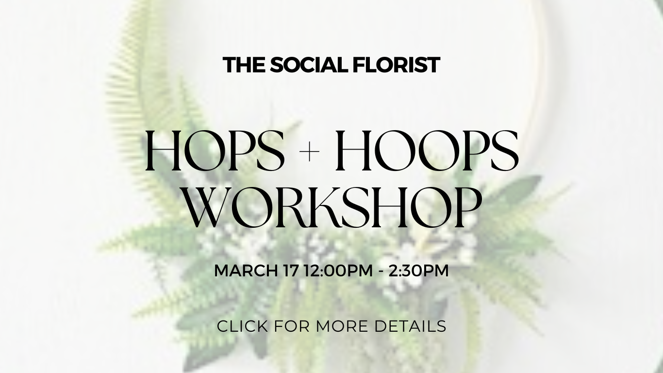 Hops + Hoops Workshop March 17 – The Fourth