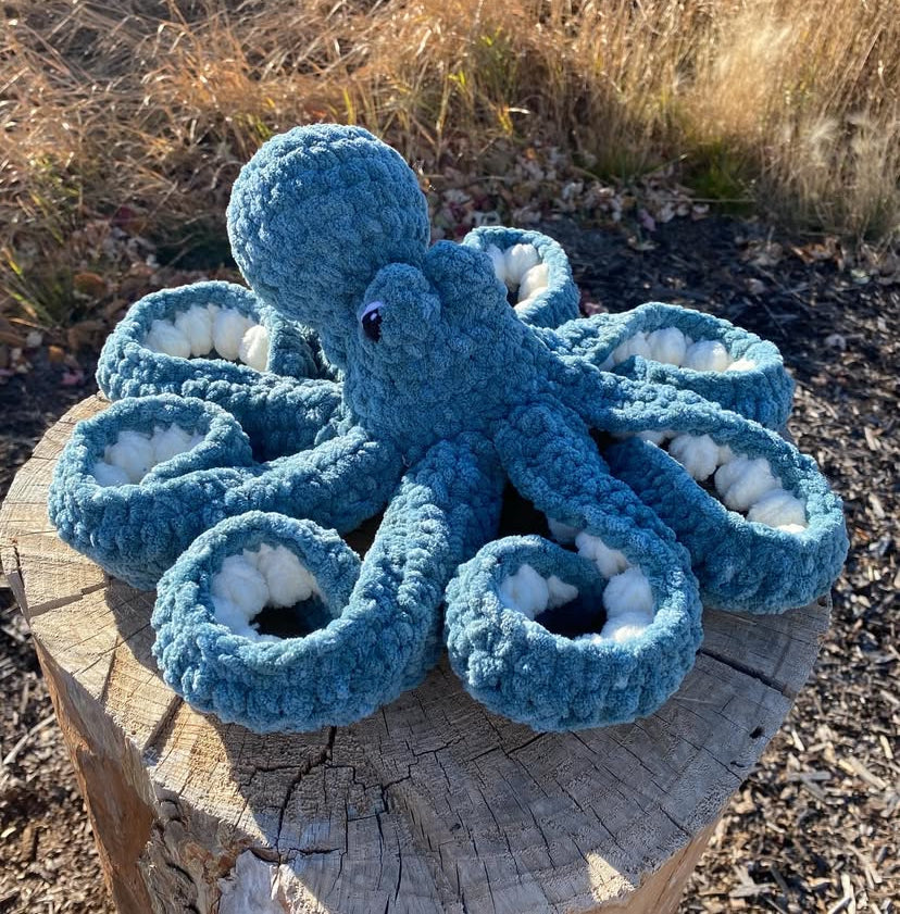 Anchor the Octopus – The Fourth