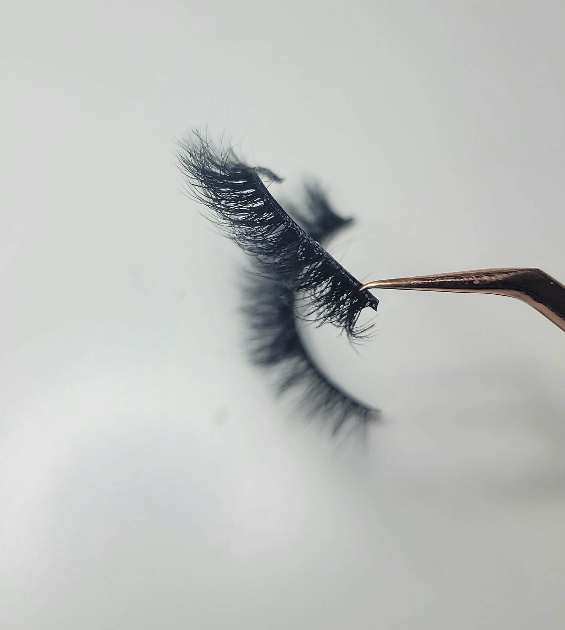 Bella Lash – The Fourth